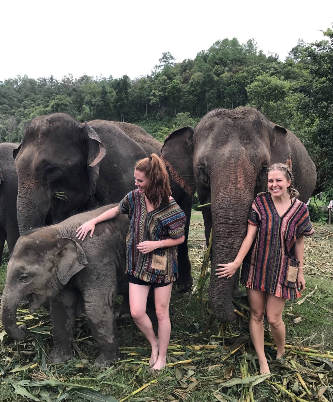 Elephant Jungle Sanctuary - The JetSet Redhead